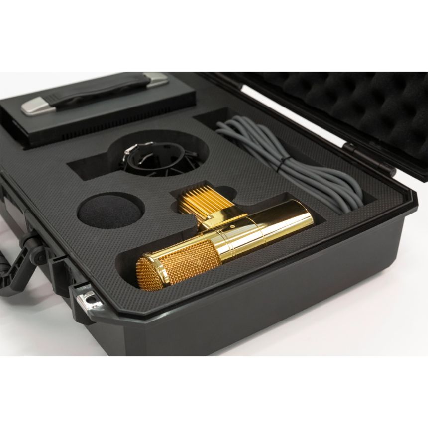 Warm Audio WA-8000G Limited-edition Gold
